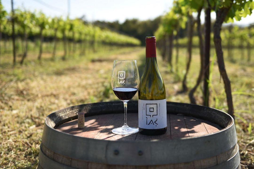 The Best Wineries to Visit in Israel - Via Sabra